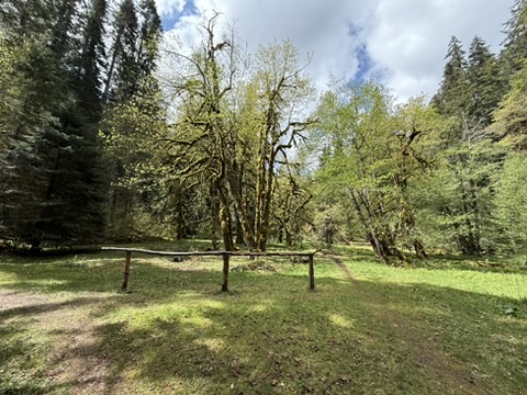 Dosewallips, Olympic National Park – Myhealthadventure